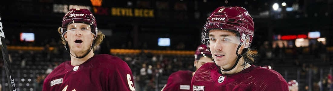 Arizona Coyotes vs Toronto Maple Leafs Tickets, Prices | biletwise